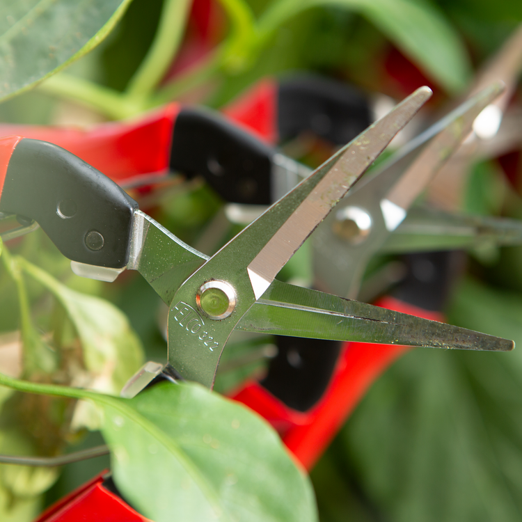 All Felco Tools – FELCO EU