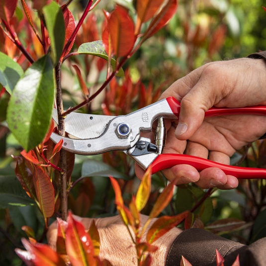 FELCO 4 - Pruning shears – FELCO EU
