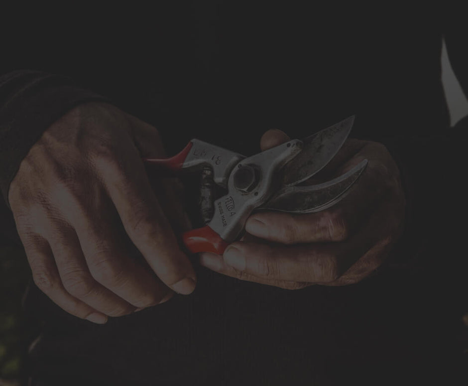 FELCO-Gartenscheren | Handschonende & Hochwertige Scheren | Felco ...